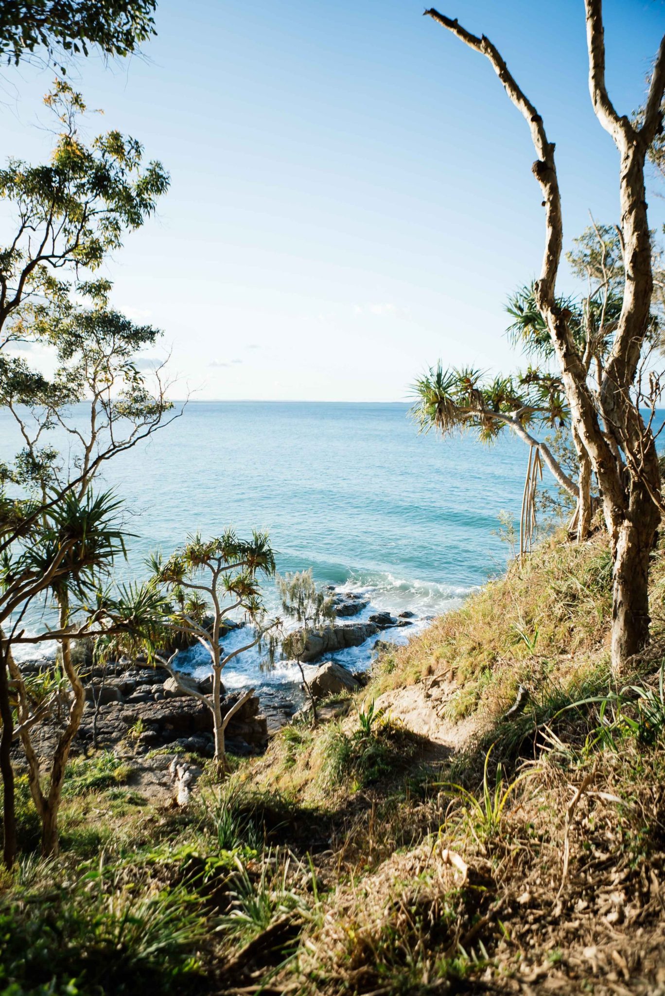 Free Things To Do in Noosa - Flashpackers Noosa Hostel